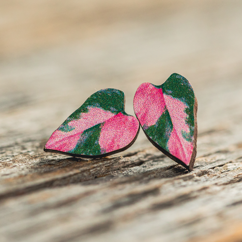 Pink Princess Stud Earrings | Plant Posse