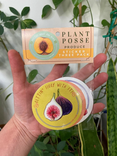 Sticker 3 Pack (Produce) | Plant Posse