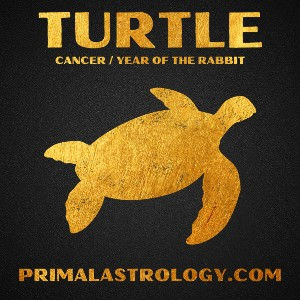 Primal Zodiac Sign of Turtle