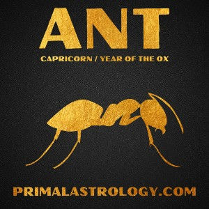 Primal Zodiac Sign of Ant