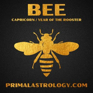 Primal Zodiac Sign of Bee