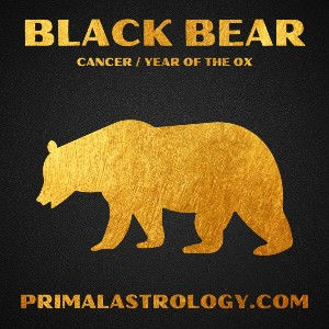 Primal Zodiac Sign of Black Bear