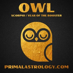 Primal Zodiac Sign of Owl
