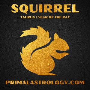 Primal Zodiac Sign of Squirrel