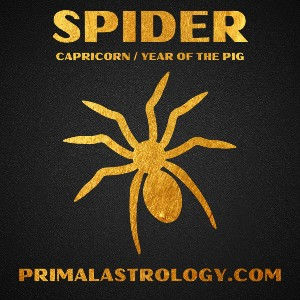 Primal Zodiac Sign of Spider