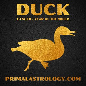 Primal Zodiac Sign of Duck