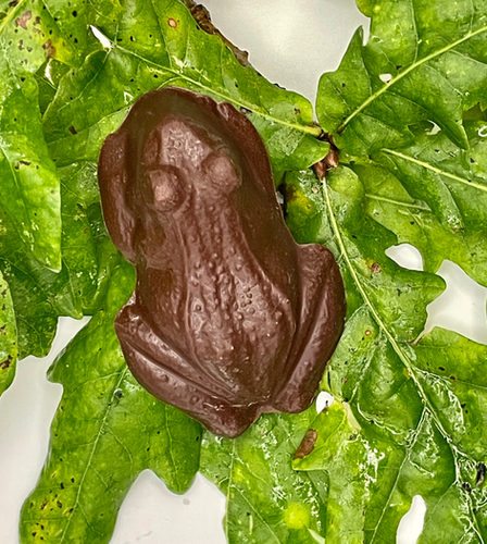 Chocolate Frog | Cocoa Retreat