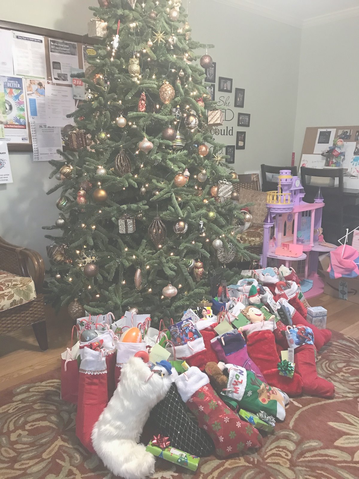 AIM | Aimcharity.org | Anderson, SC