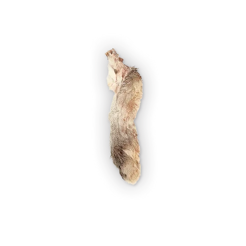 Rabbit Tap Rabbit Feet | Unleashed