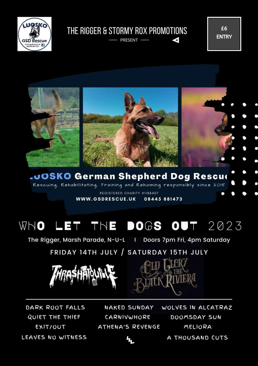 Who Let The Dogs Out 2023 | The Rigger Venue