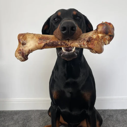 Ostrich Bone | Buddy's Bites UK