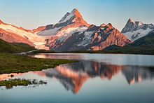 Overview | Wyss Academy