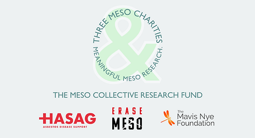 Meso Collective Fund 2024 | Erase Meso
