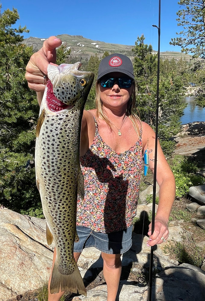 Recent 1800 Lb Rainbow Trout Plant at Caples Lake - Fall Fishing at its ...