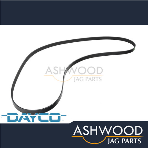 V-Ribbed Drive Belt Jaguar XJ8 XJR 3.2 4.0 V8 ('98-'03) DAYCO OEM ...