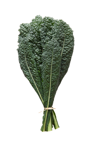 Kale Otu Toskana Tipi | Royal Bounty