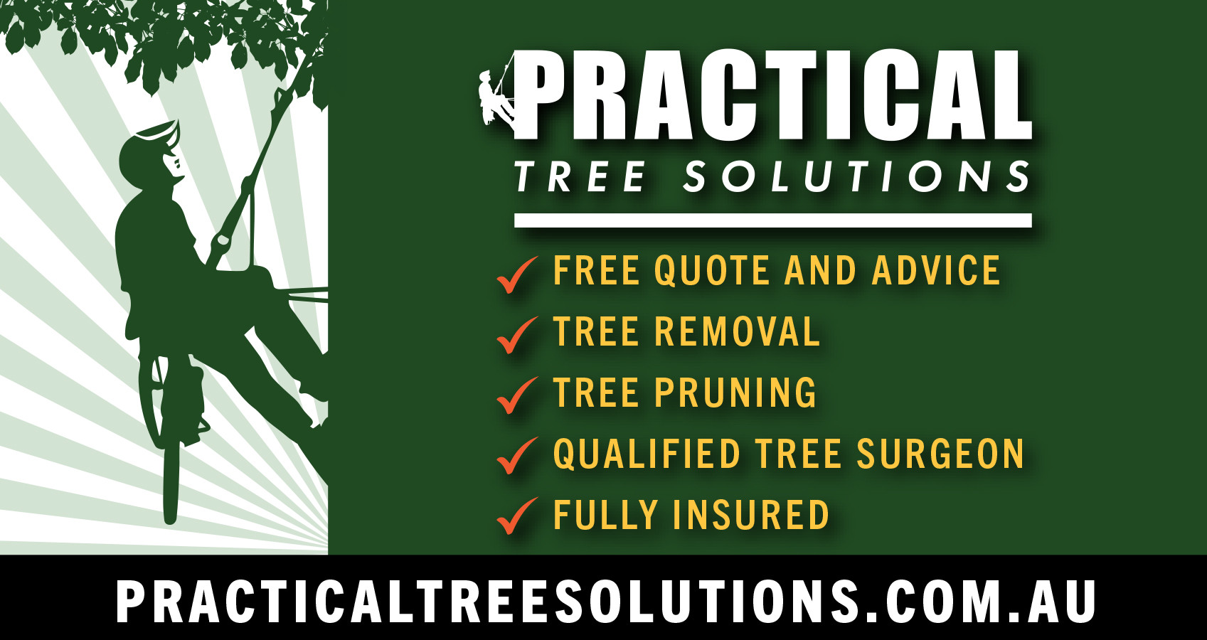 Tree removal | Practical Tree Solutions