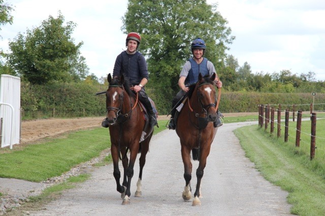 Gallery | skehanaghstables