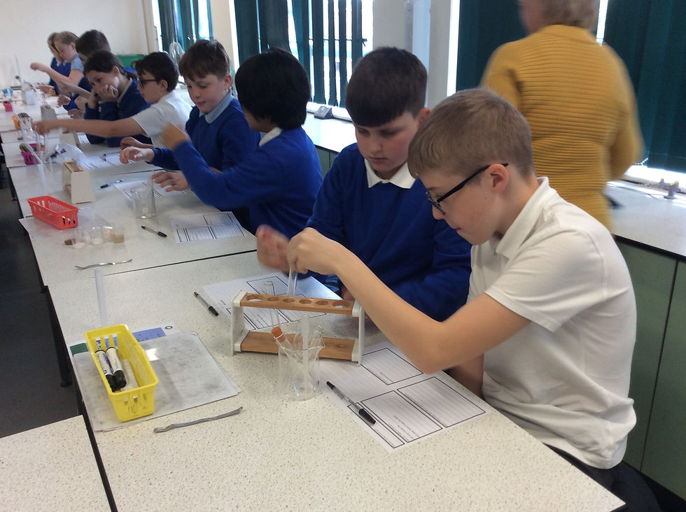 Year 6 | School Website