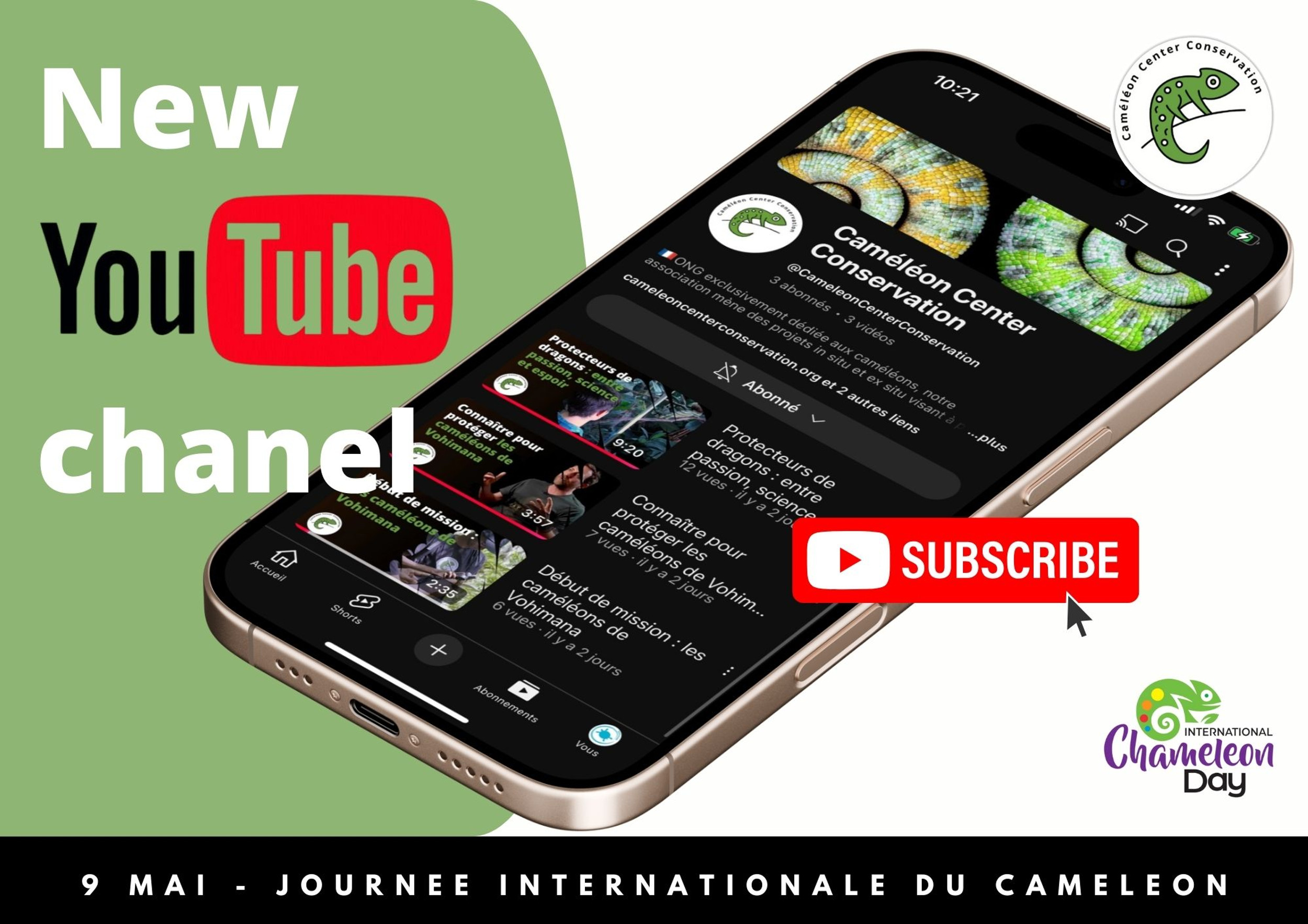 International Chameleon Day – 9 May 2025