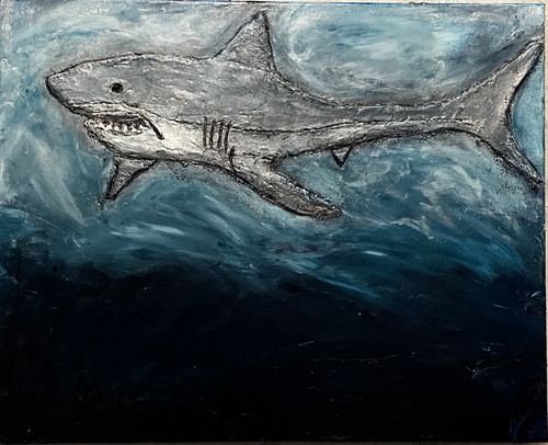 Shark the Lurker | Jared Marcucci