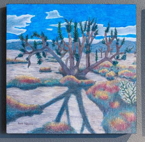Joshua Tree, by Scott Adams | DesertMuseumArts.com