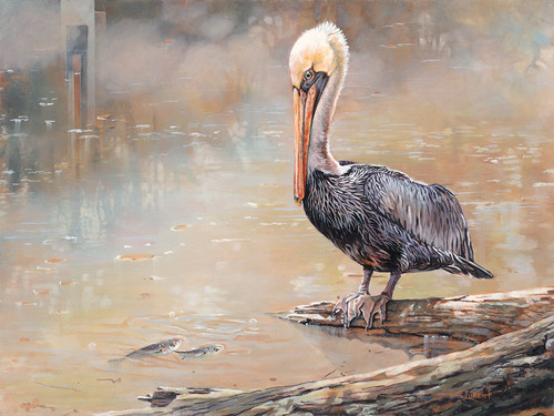 Chumming Around, by Kim Diment | DesertMuseumArts.com