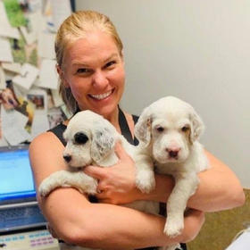 VETERINARY CARE | TEAM | VOCN VETS ON CALL NETWORK