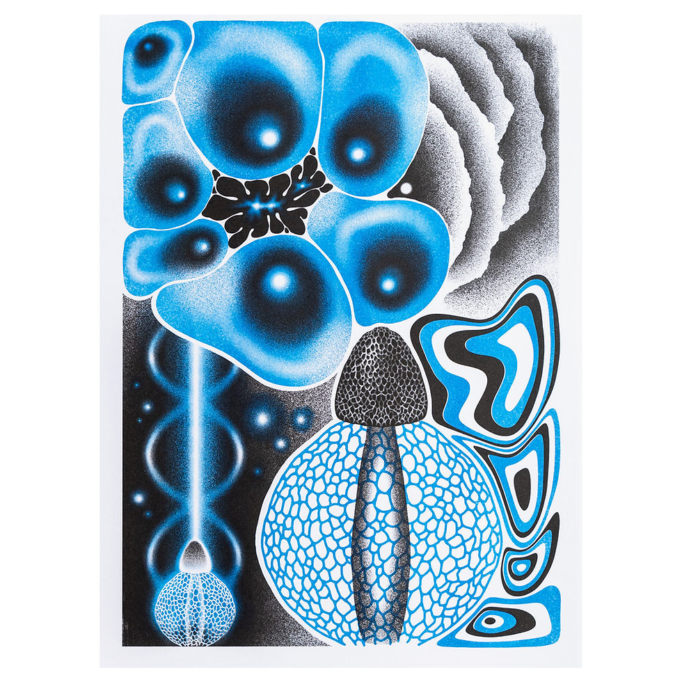 Dohee Kwon Art & Illustration