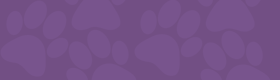 CASPR (Canine & Special Pet Rehoming)