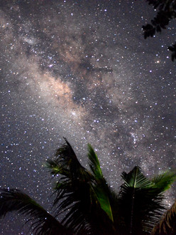 Tiapapata art centre | Creative Samoa