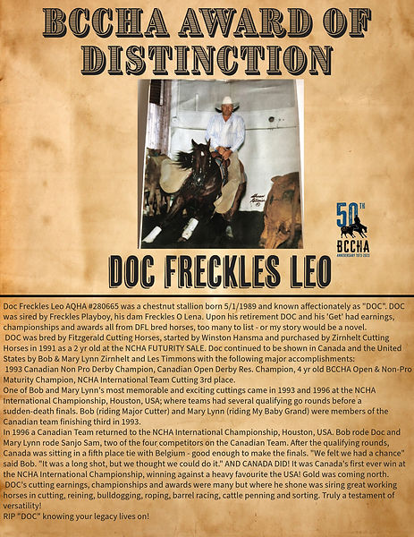 Award of Distinction | BCCHA