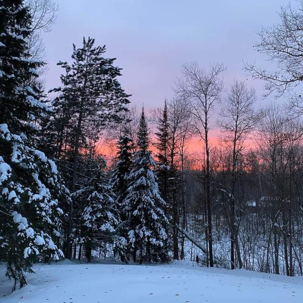 ️ Midwest Holiday Bucket List: 10 Magical Winter Experiences You Have ...