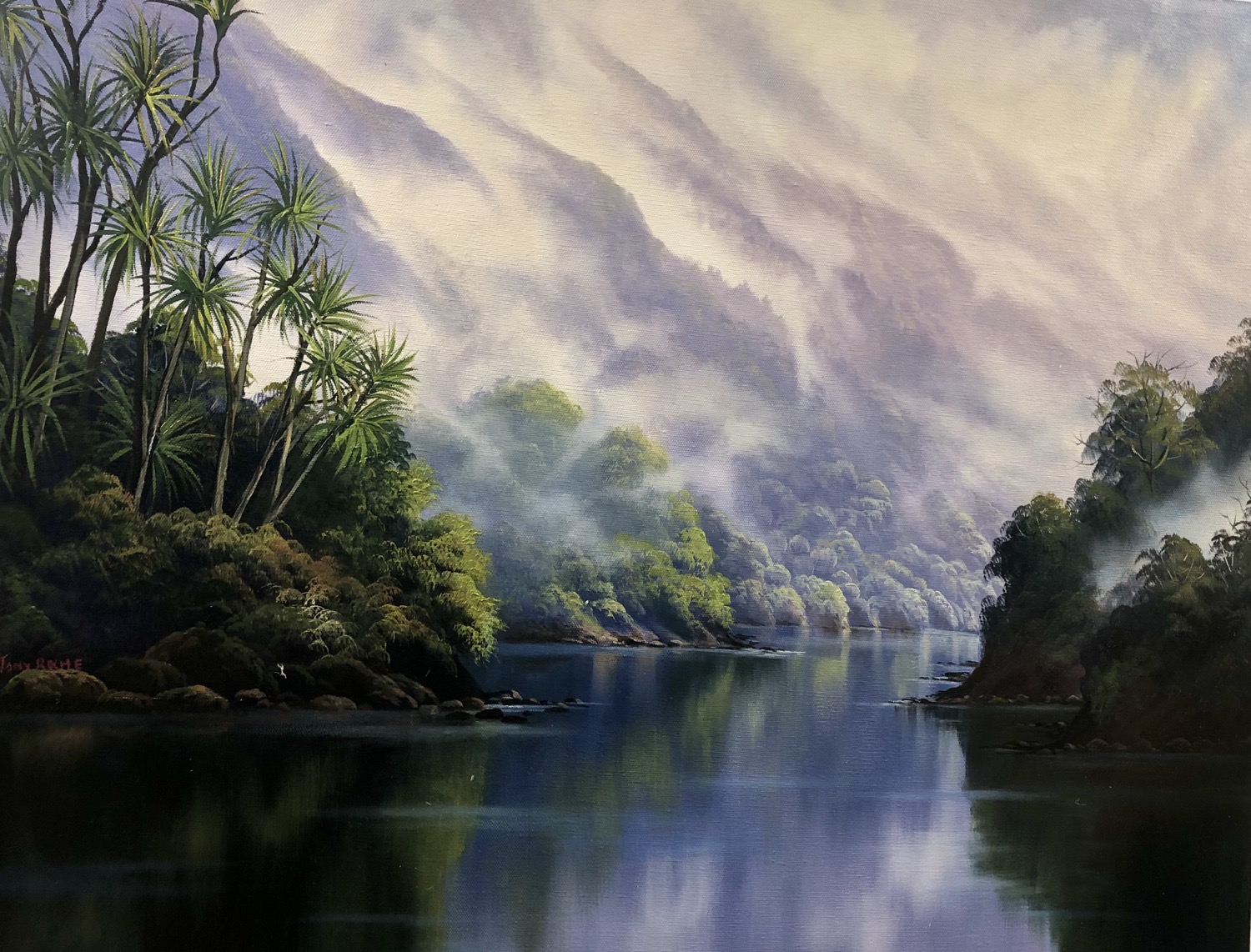 Tony Roche | taitgallery