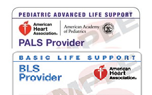 (PALS) and (BLS) Combo Course $195.00 | criticalactions