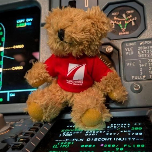 6" Barton Bear | Barton Aerodrome