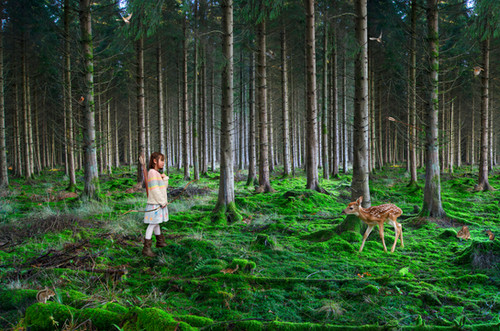 Wildlife | Kate Harrold