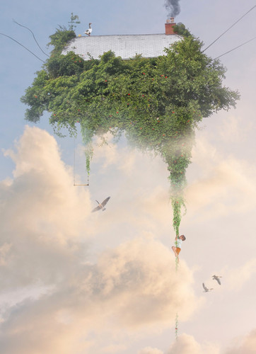 The Goose that Laid the Golden Tomato | Kate Harrold