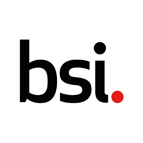 British Standards Institute