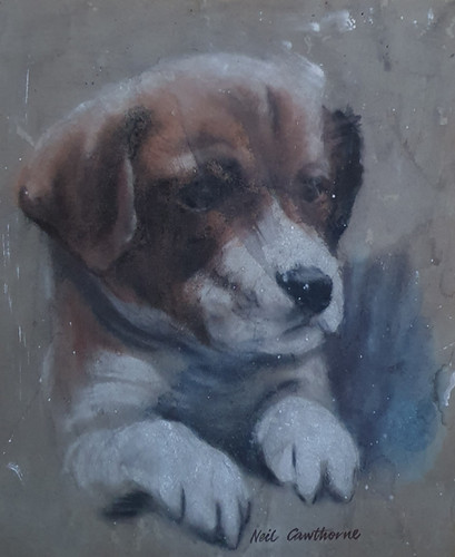 A Foxhound Pup by Neil Cawthorne | Oakham Fine Art