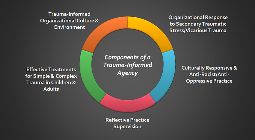 HOME | Transforming Trauma