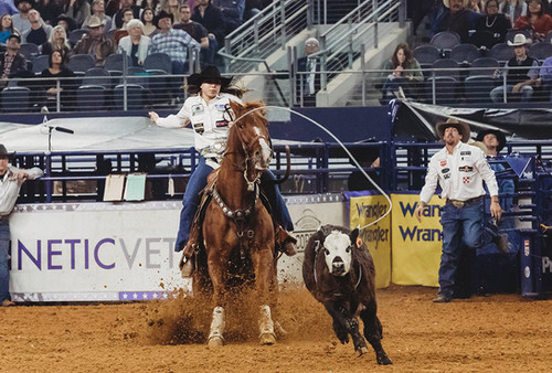 Video Chat and Coaching | Madison Outhier Ropi