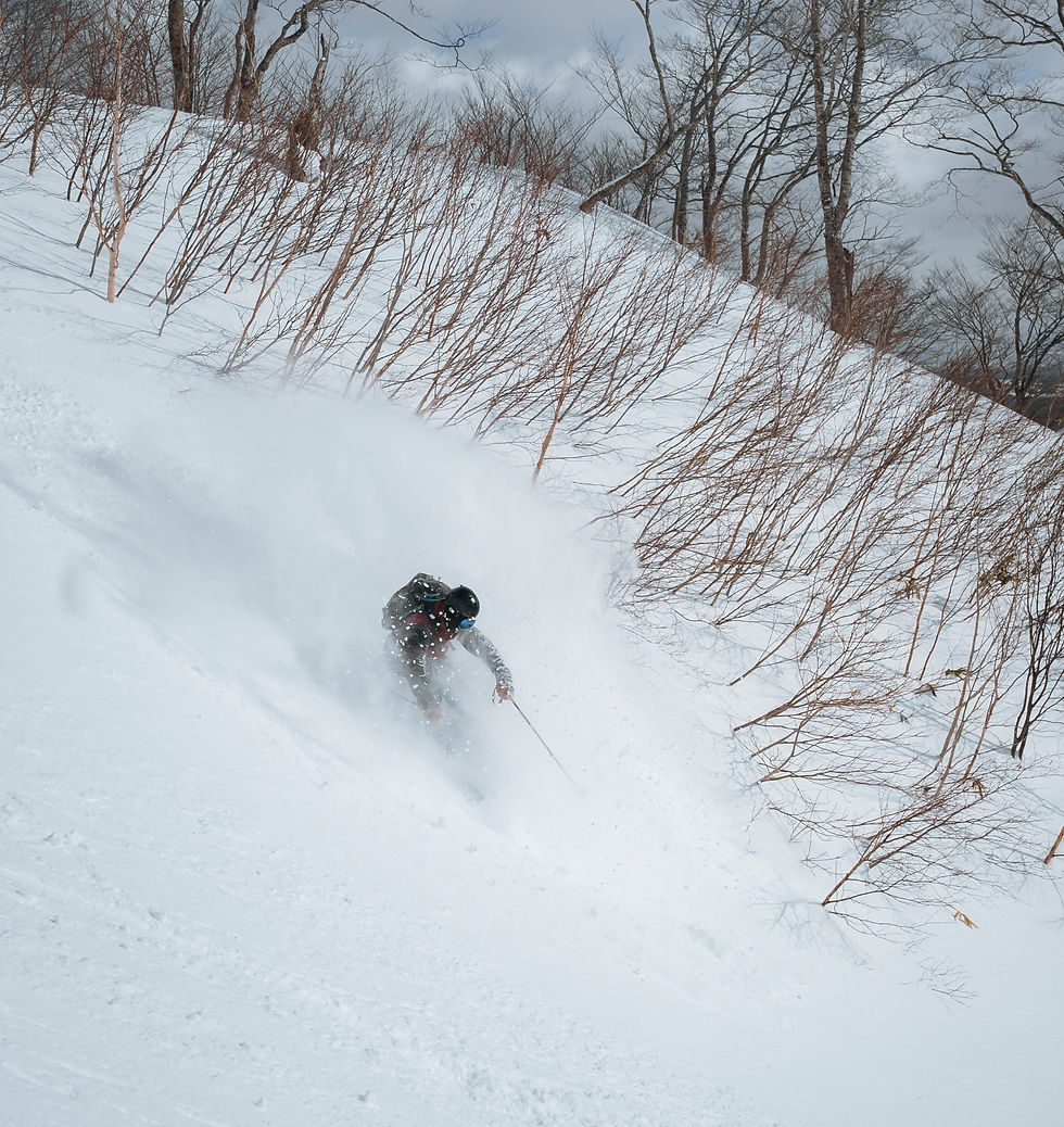 Central Odyssey Tour | Powder Recon Japan