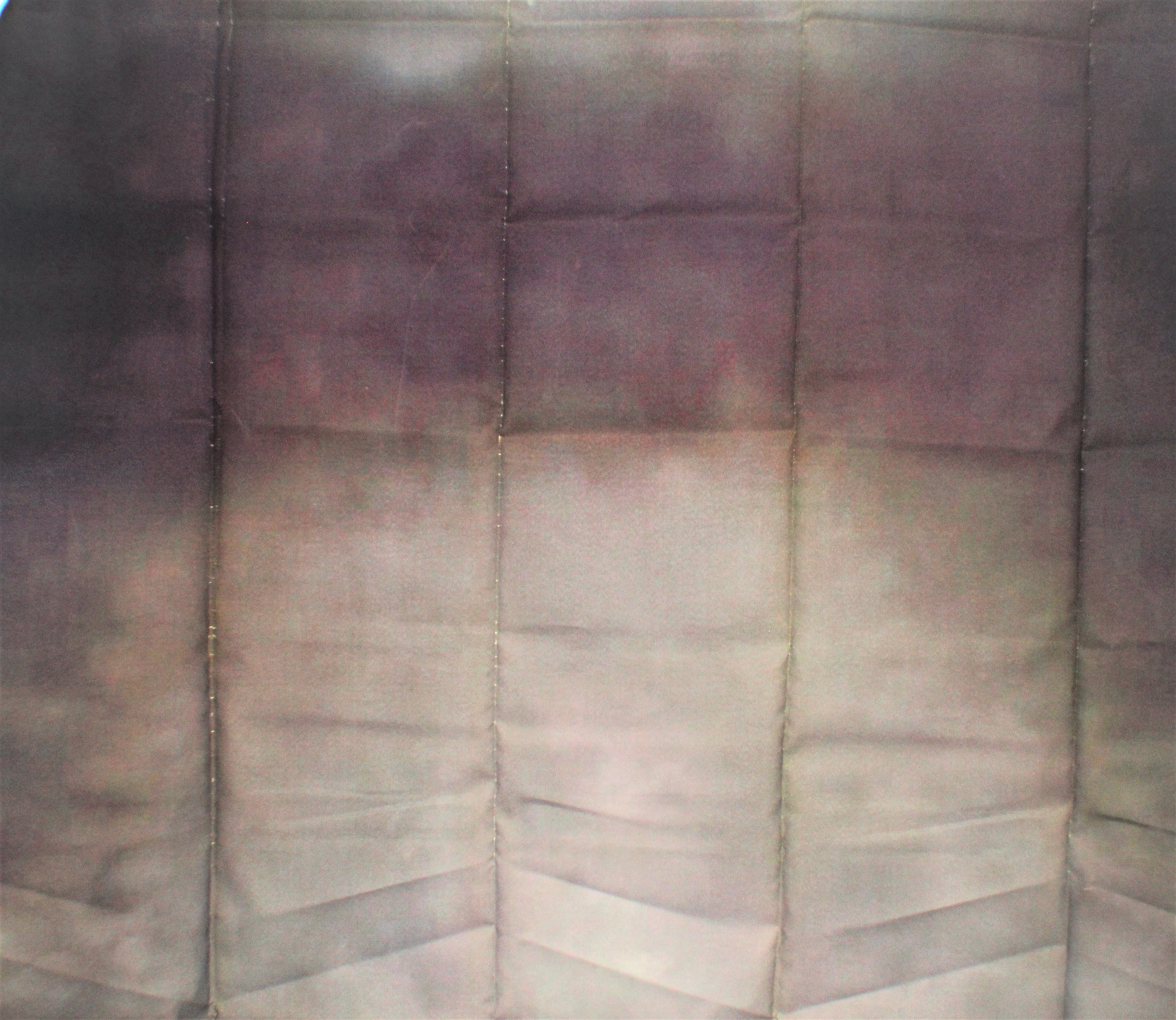 Back Drops 5x7 | darkersidedjs | photo booth