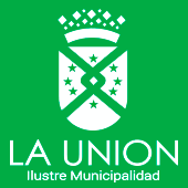INICIO | munilaunion