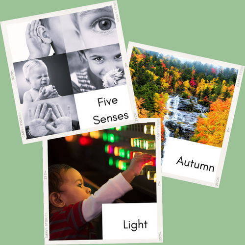 Cycle 1: Autumn Bundle: Five Senses, Autumn and Light | Invitations to play