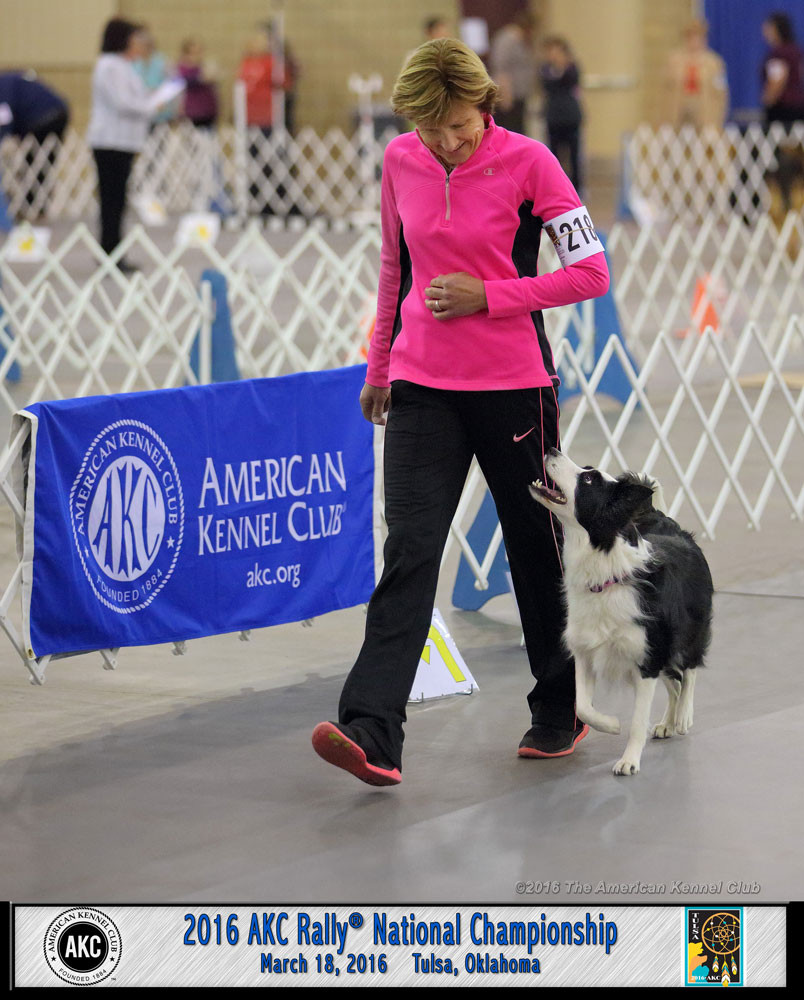 Private Lessons | KraftyK9 Dog Sports