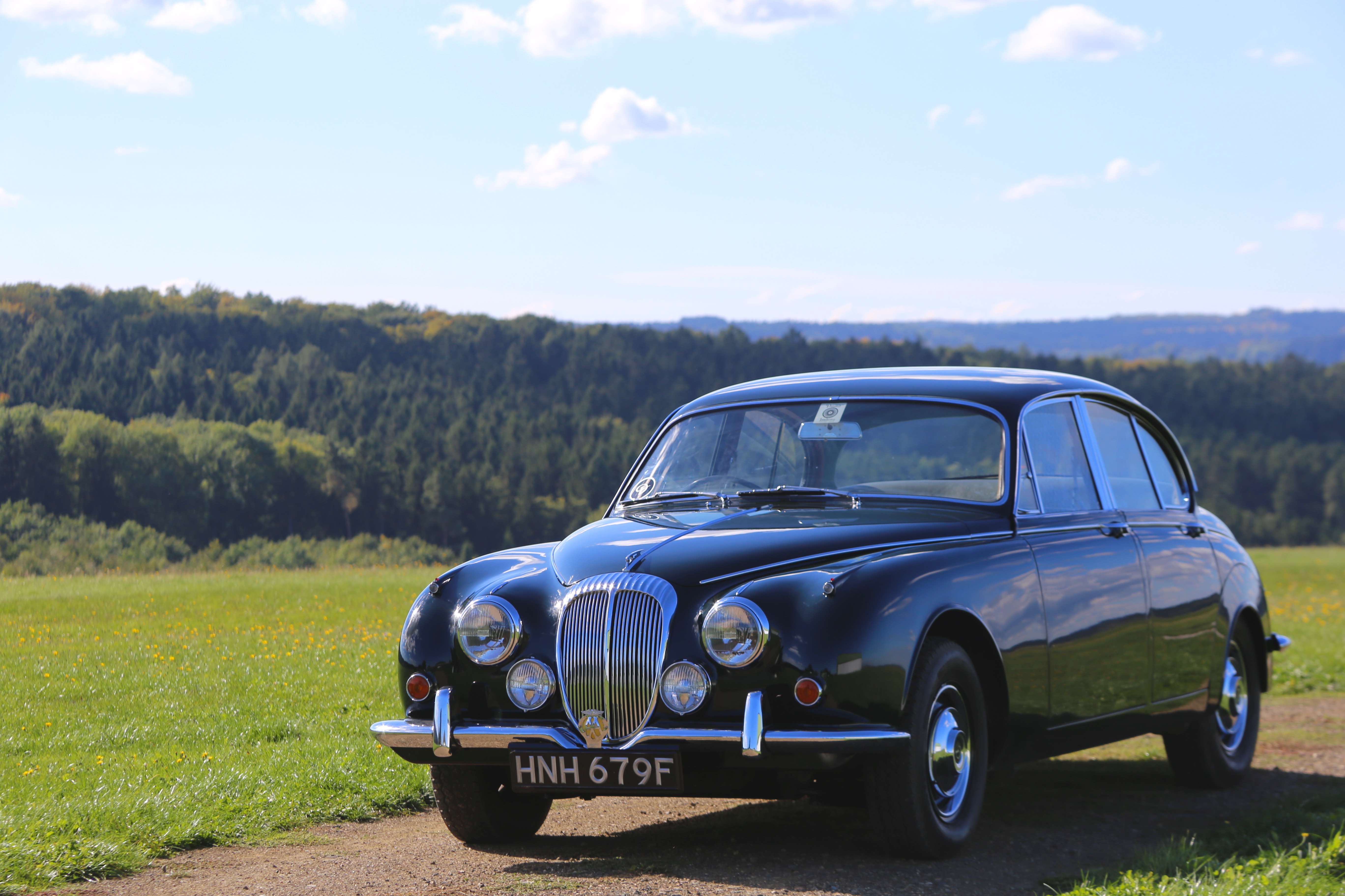 Bulldog Motor Collection | DAIMLER V8 250