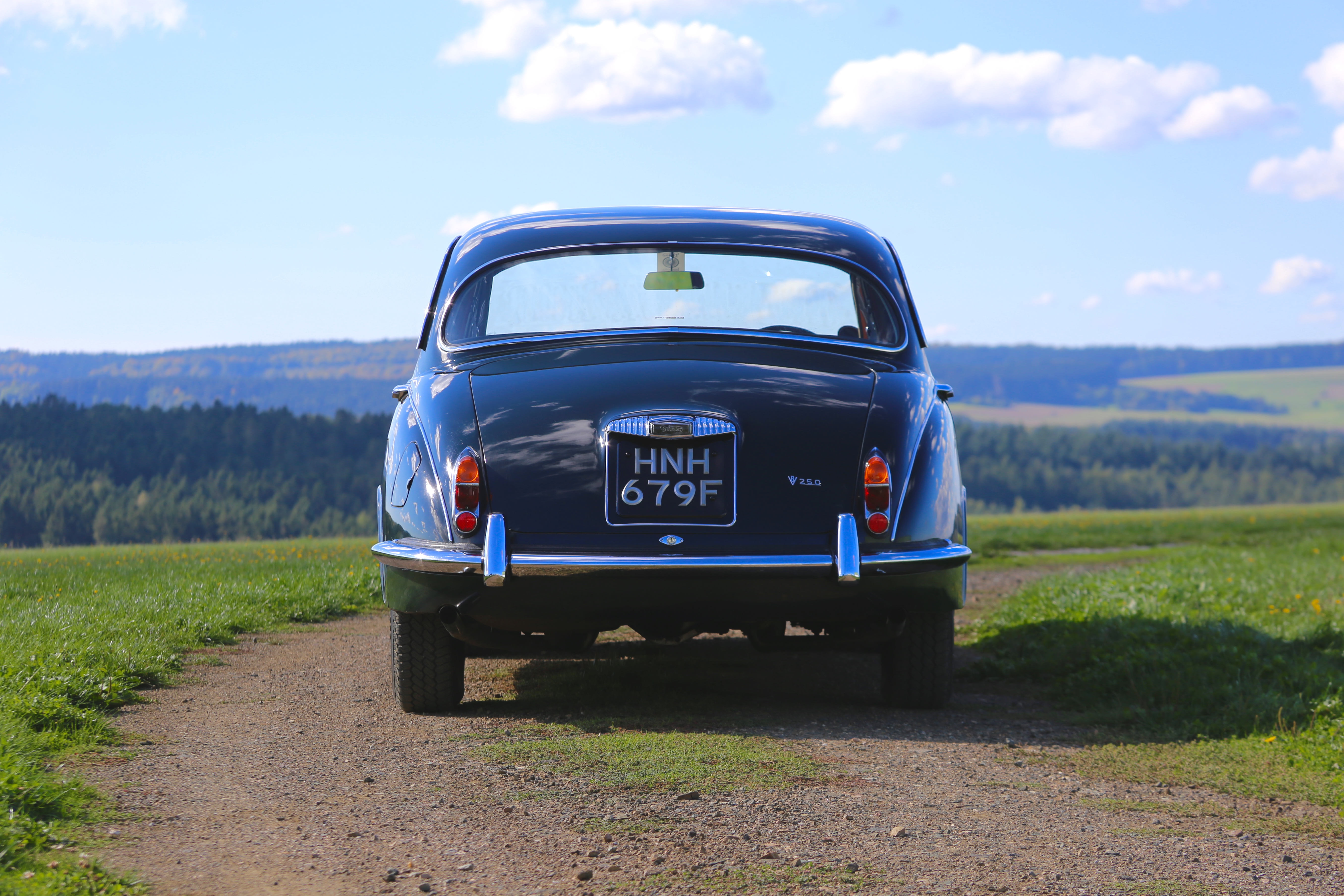 Bulldog Motor Collection | DAIMLER V8 250