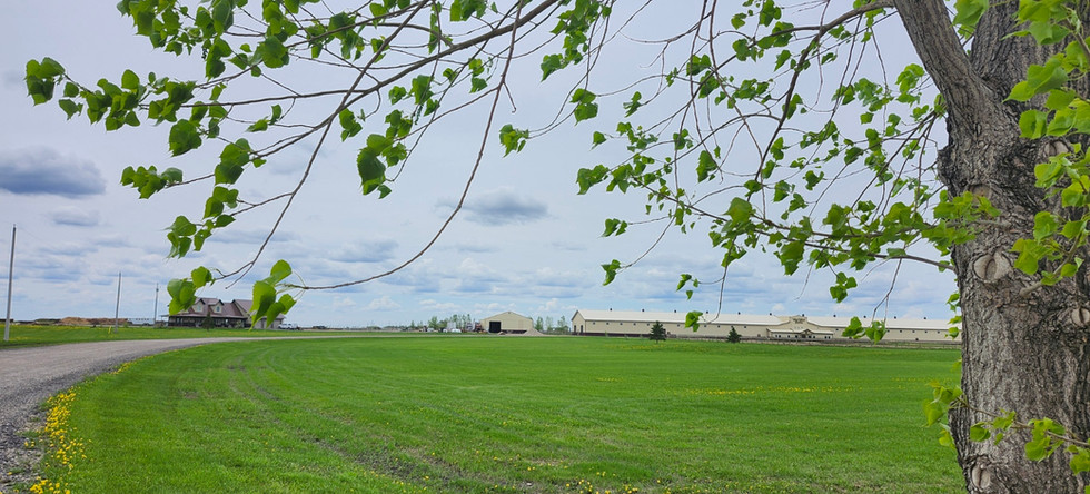 Horseback Riding Lessons|Horse Boarding|West Wind Stables